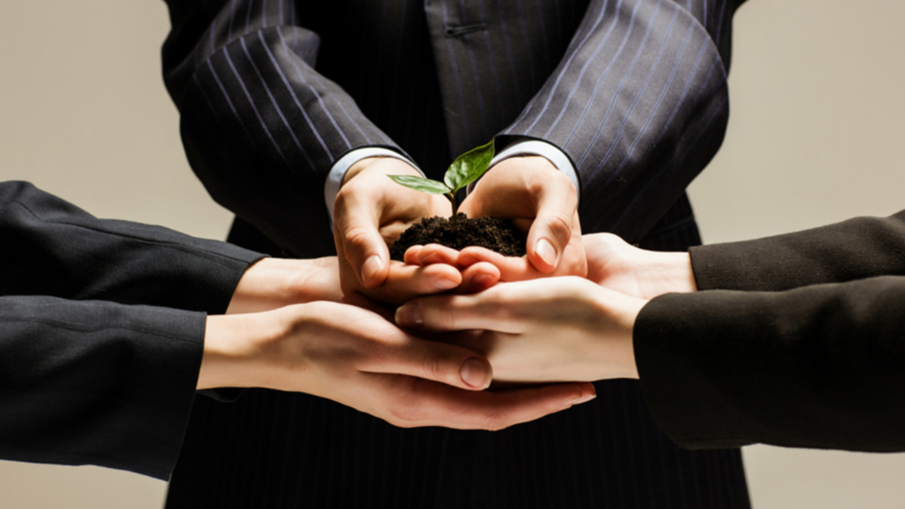 From Qualified Sales Opportunities to Conversion – Get the Lead ...